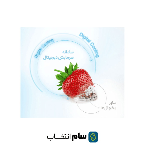 یخچال و فریزر ساید بای ساید 37 فوت دوو مدل SXi20-31S | سام انتخاب